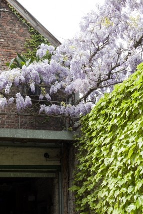 Un jardin dans la ville - Turbulences Déco